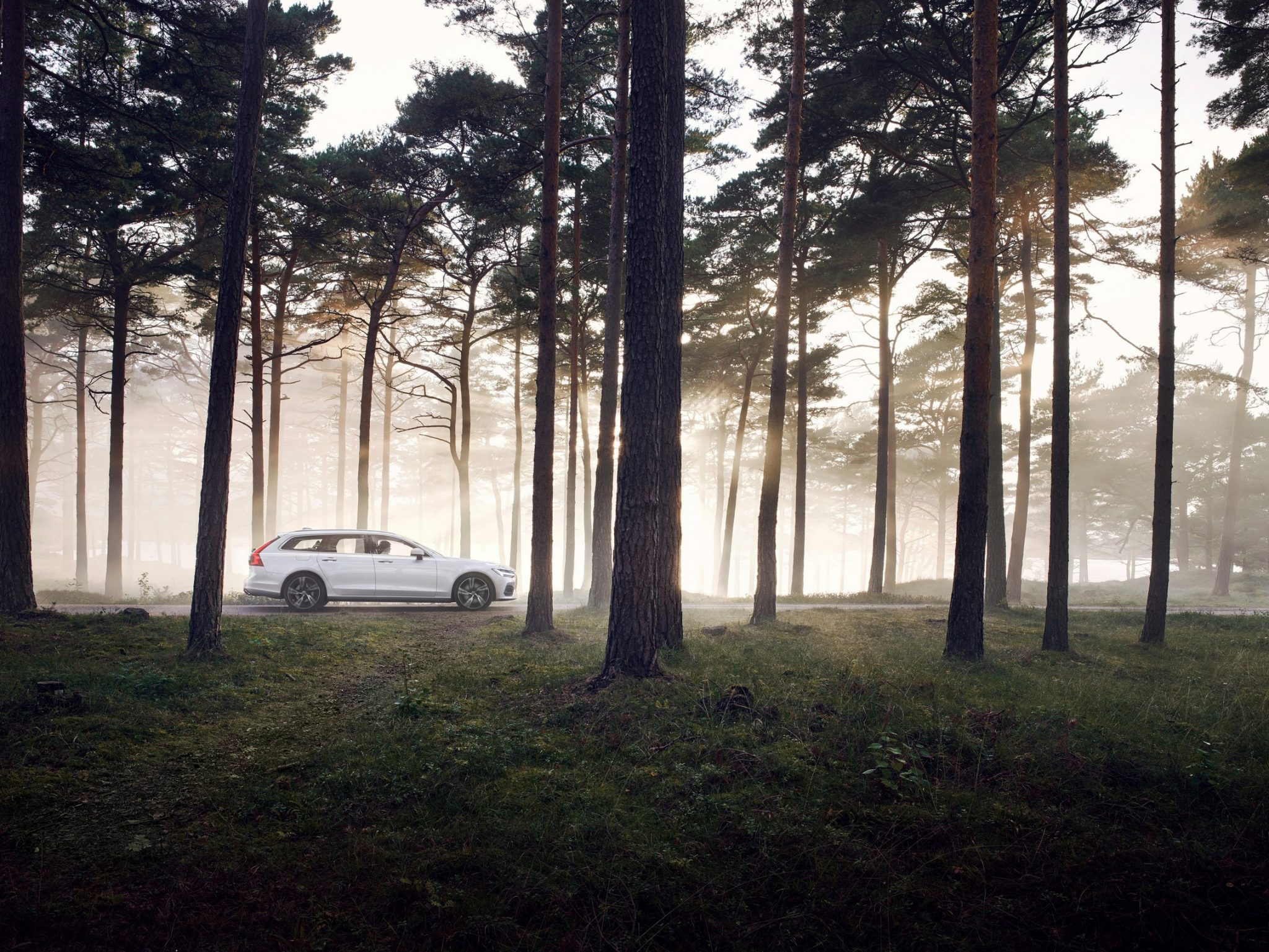 Volvo Cars unveils first solar energy installation at Ghent car factory ...
